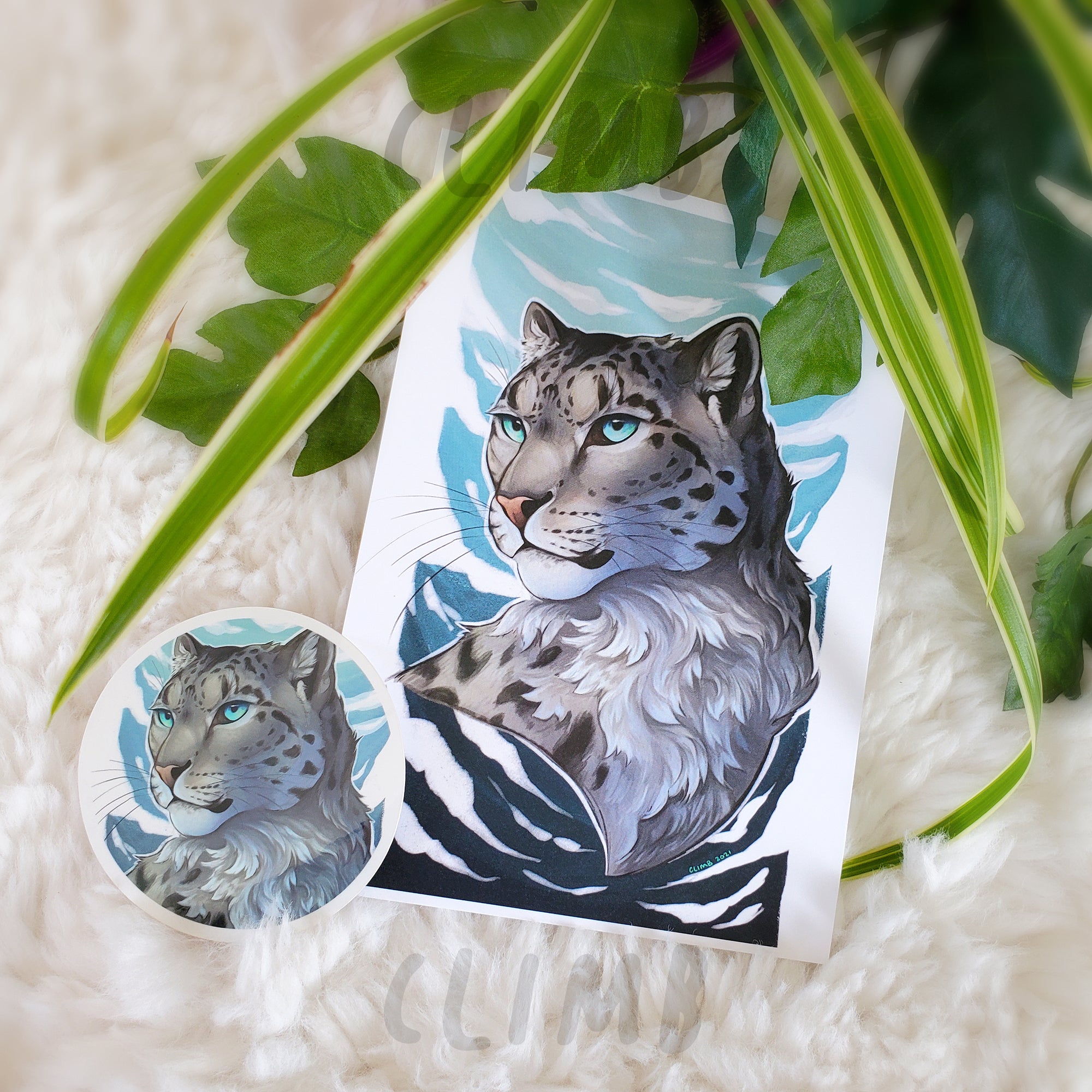 Snow Leopard - Mini Art Print – ClimbStudio